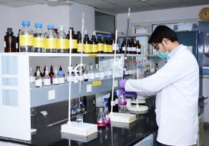 Home Page - CEG Test House- Best food, water, metal, soil, drugs ...